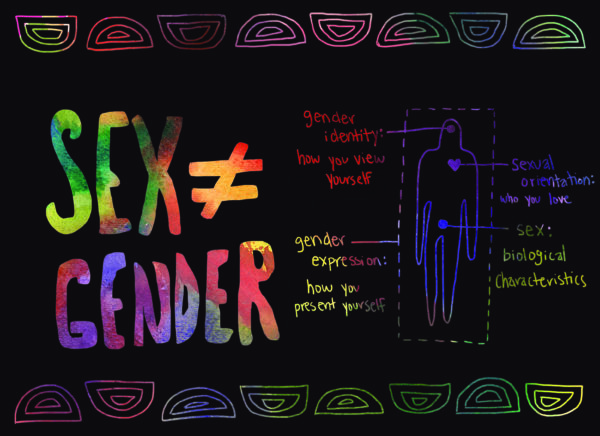 What we talk about when we talk about gender – Martlet