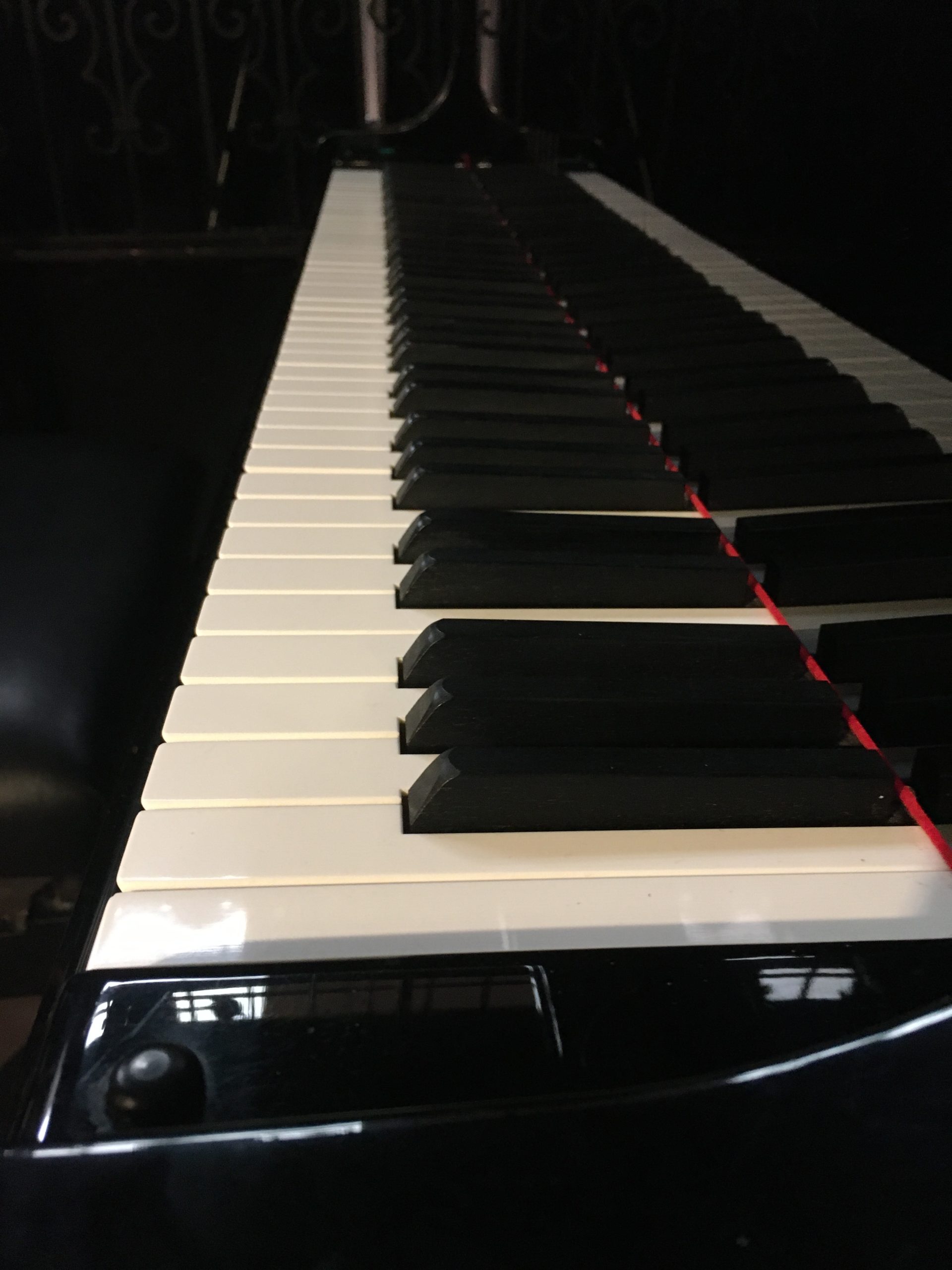 Hermann’s Jazz Club still swinging after 40 years – Martlet