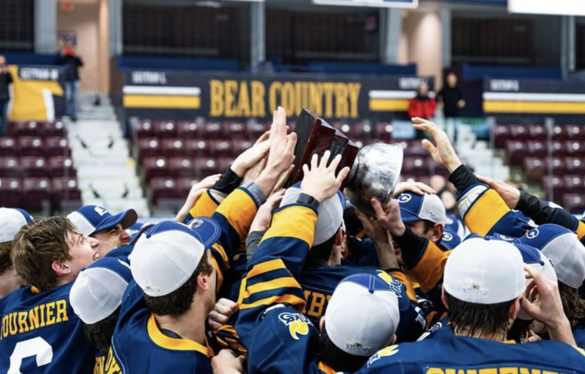 Vikes hockey club wins first championship since 2017