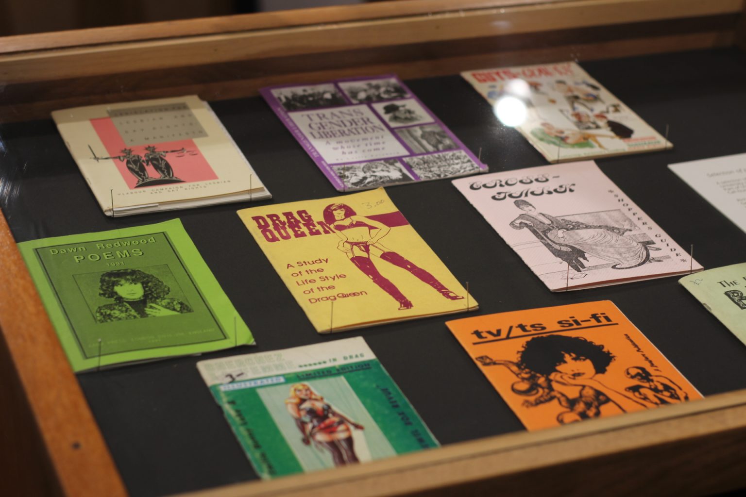 'Everything is Special' showcases queer and Trans+ materials