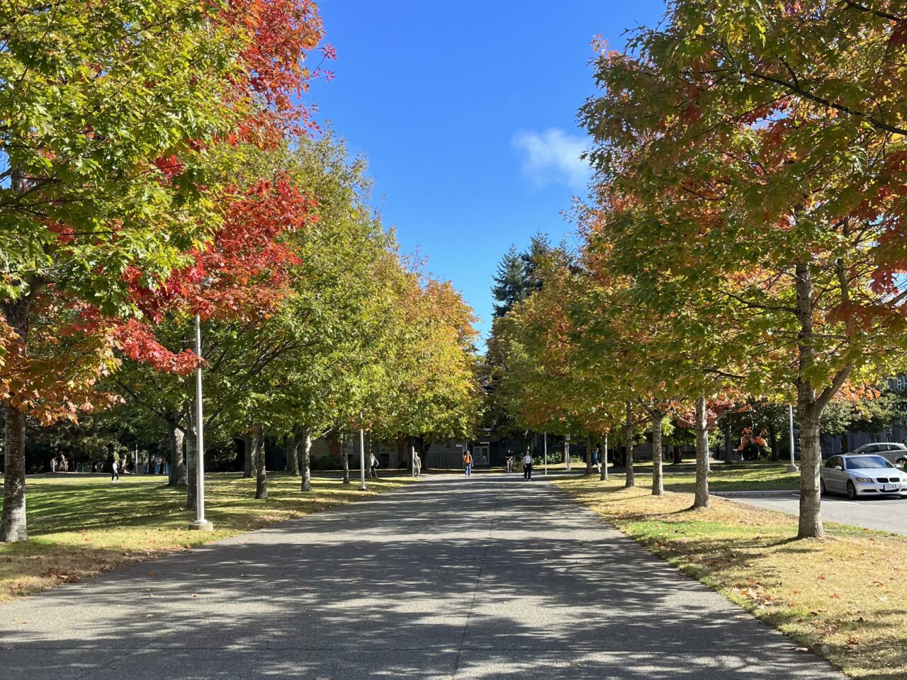 Seven low-barrier classes to try this fall